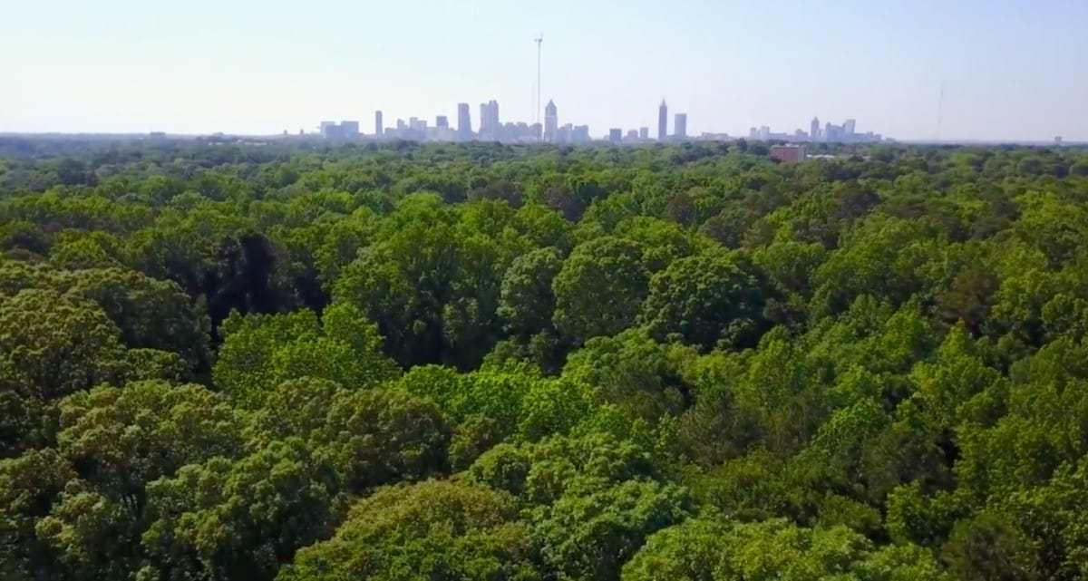 Report Card for Georgia’s Forestland Released | Georgia Forestry Commission