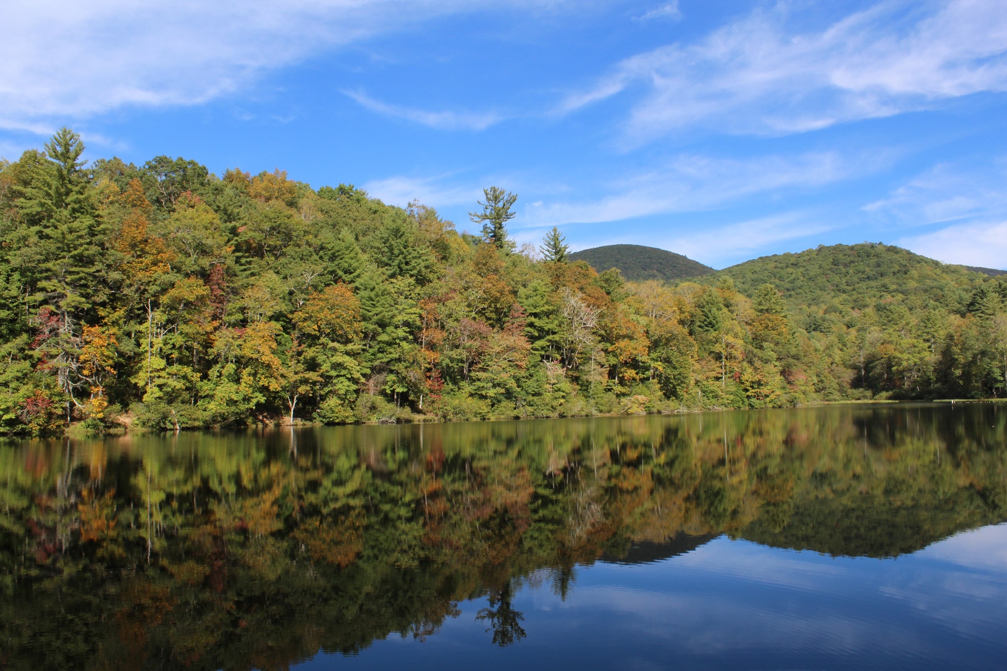 Forest Legacy & Conservation Easements | Georgia Forestry Commission