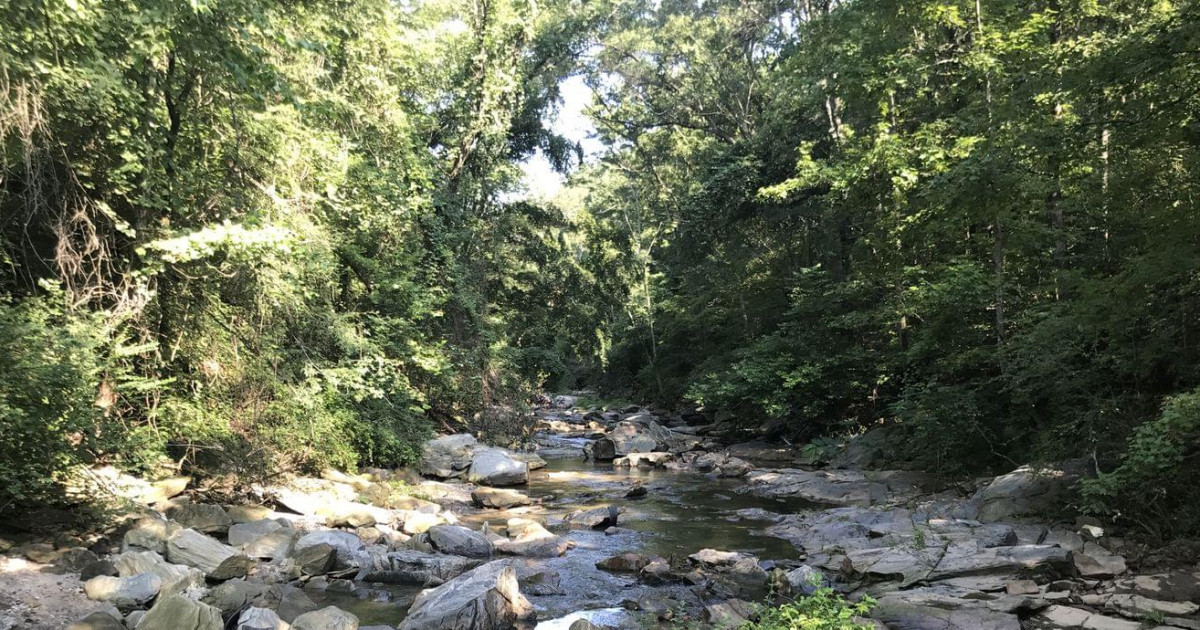 Water Quality & BMPs | Georgia Forestry Commission