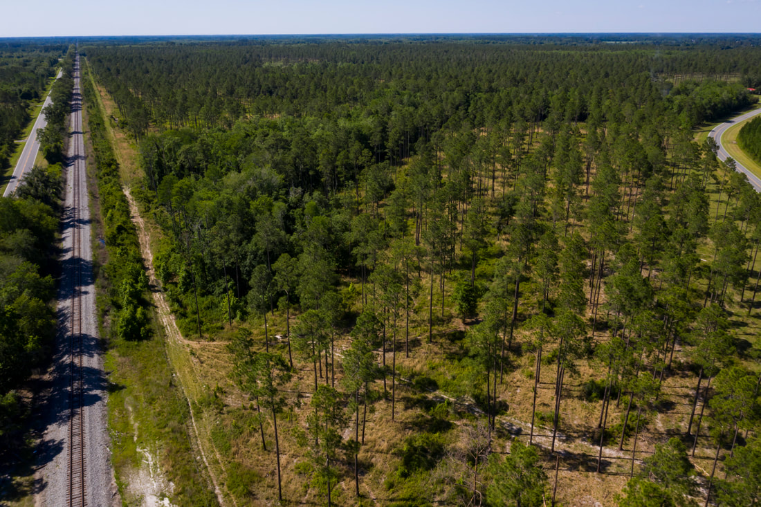 Forestry Continues to Boost State’s Economy | Georgia Forestry Commission