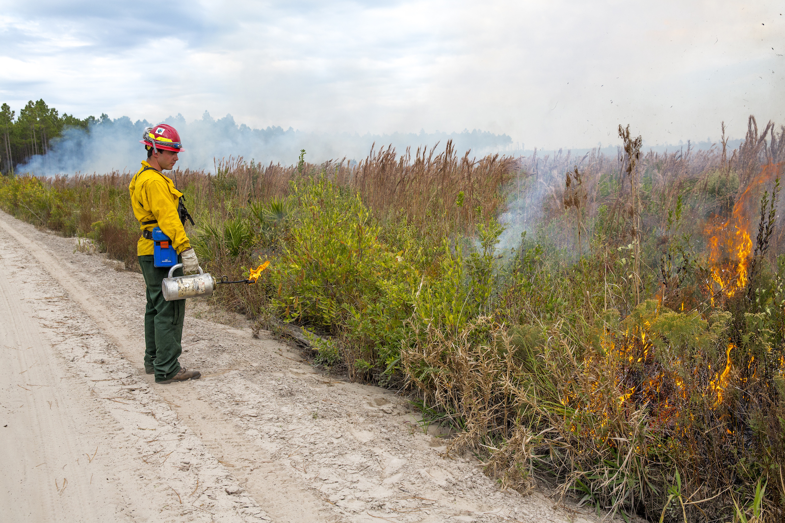 Carefully Planned “Good Fires” Prevent Bad Ones | Georgia Forestry ...