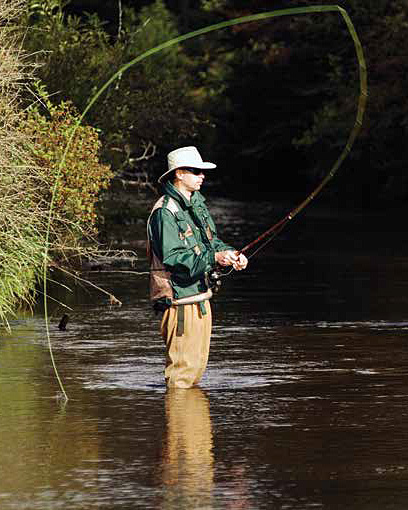 Forests for Georgia, Georgia for Forests | Georgia Forestry Commission