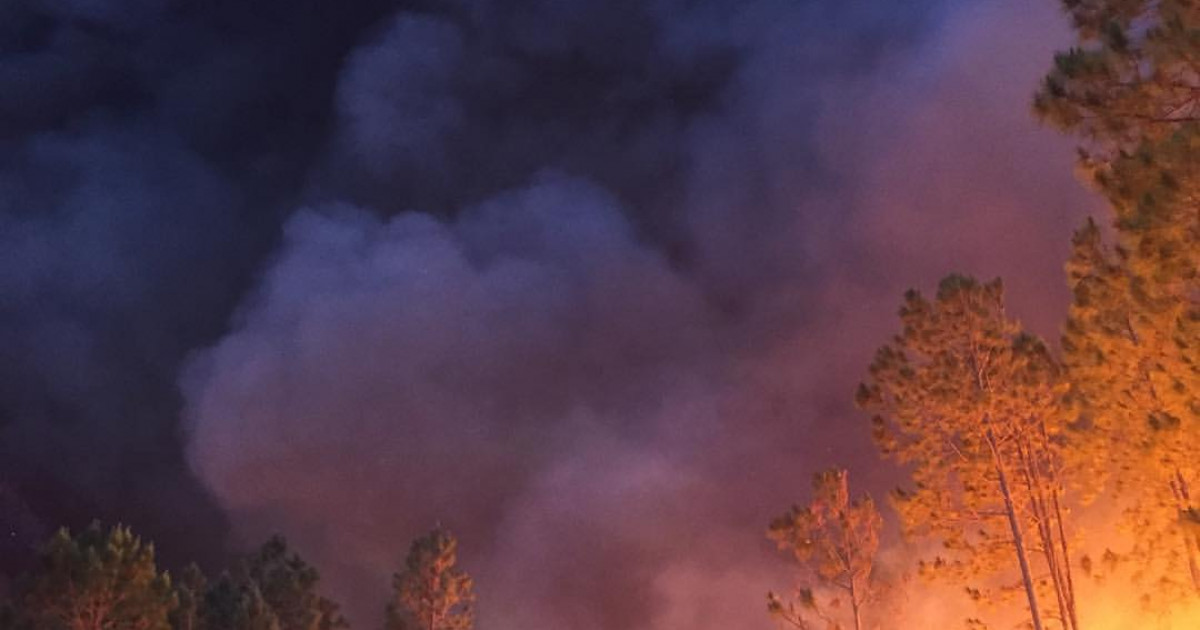 “Wildfires in Georgia” | Georgia Forestry Commission