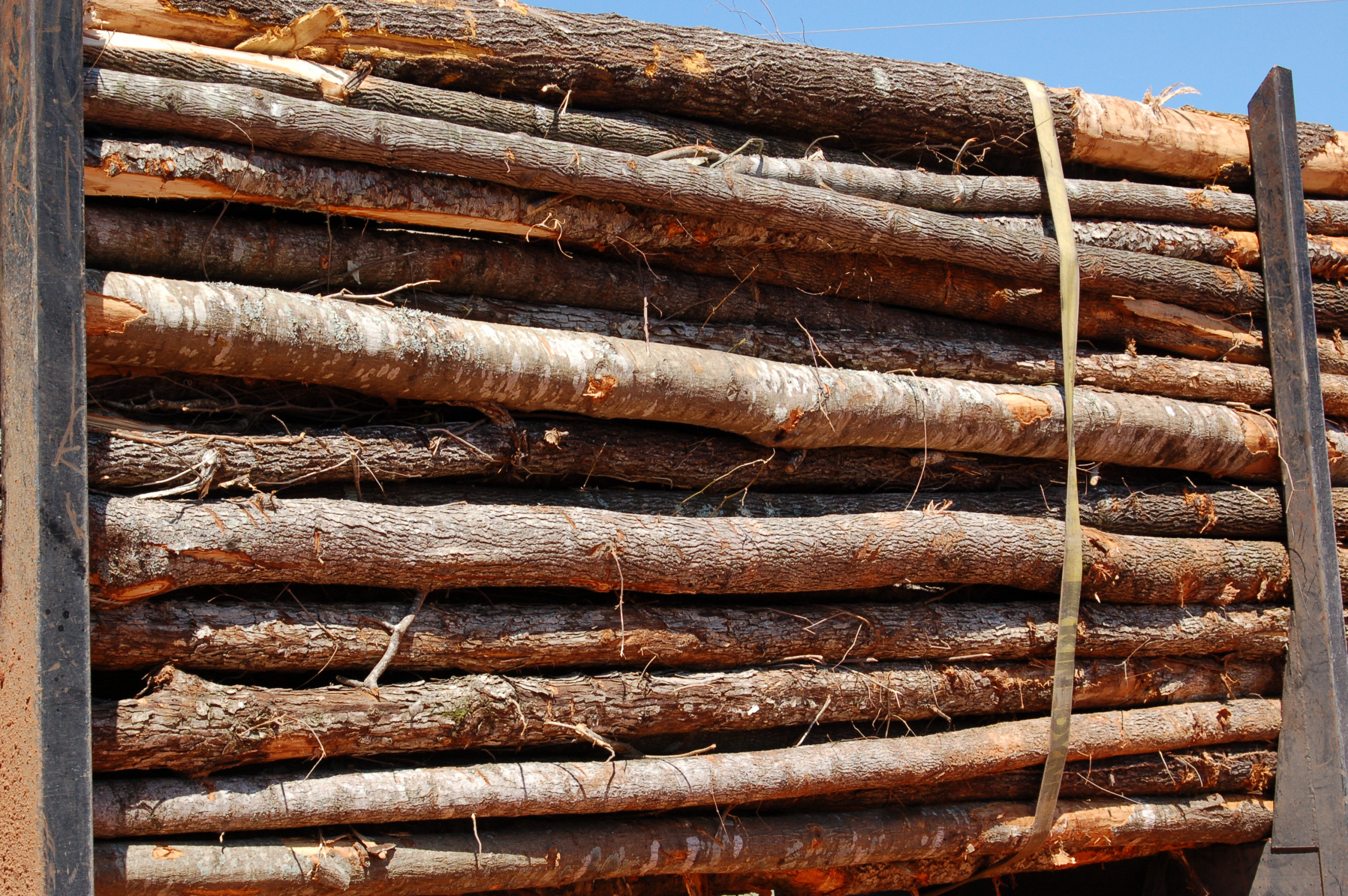 National Forest Products Week | Georgia Forestry Commission