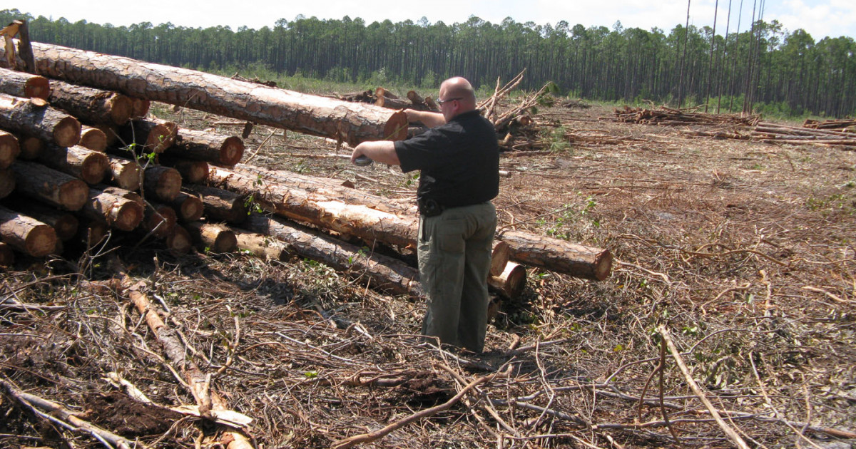 Timber Security | Georgia Forestry Commission