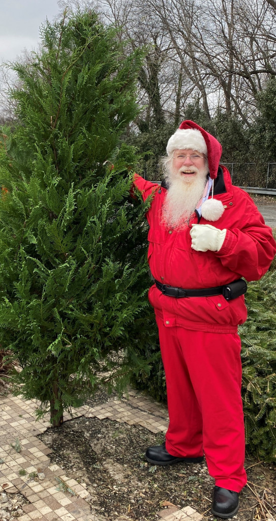 ‘Tis the Season – for Georgia Grown Trees! | Georgia Forestry Commission