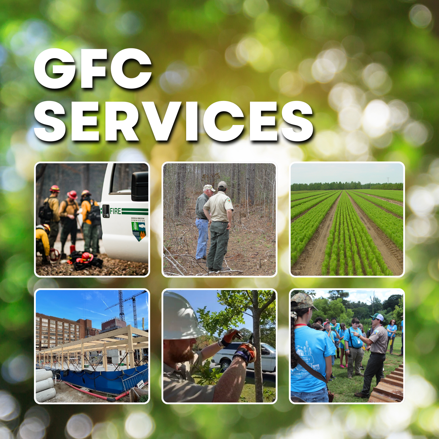 COUNT ON US IN 2025! | Georgia Forestry Commission