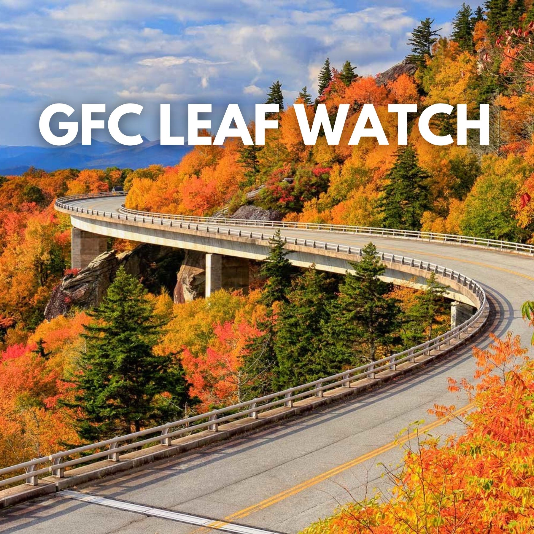 It’s Time to Fall for Fall! | Georgia Forestry Commission
