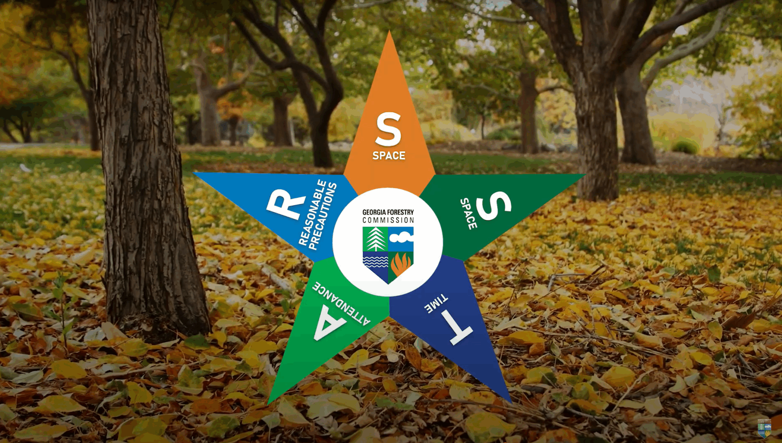 Burn Permits and Notifications | Georgia Forestry Commission